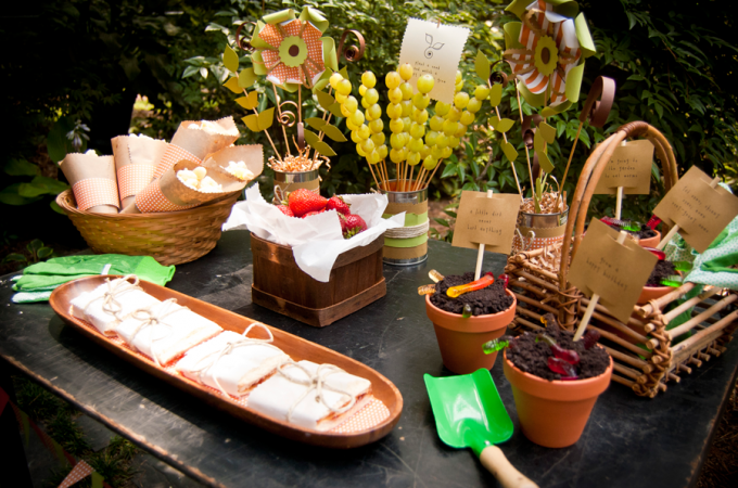 "Plant a Seed" Eco-Friendly Birthday Party - Frog Prince Paperie
