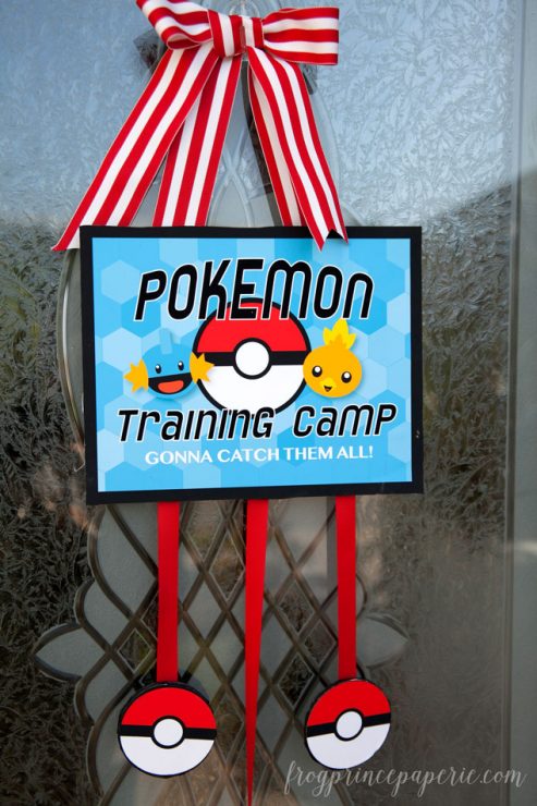 DIY Pokemon Birthday Party Ideas for the Best Birthday Ever! - Frog ...